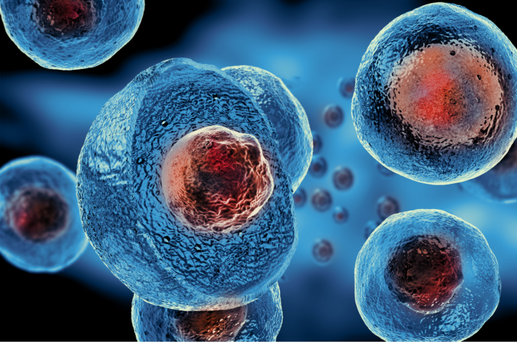 SmartCella tar in 50 miljoner euro för att accelerera tillväxt och ...